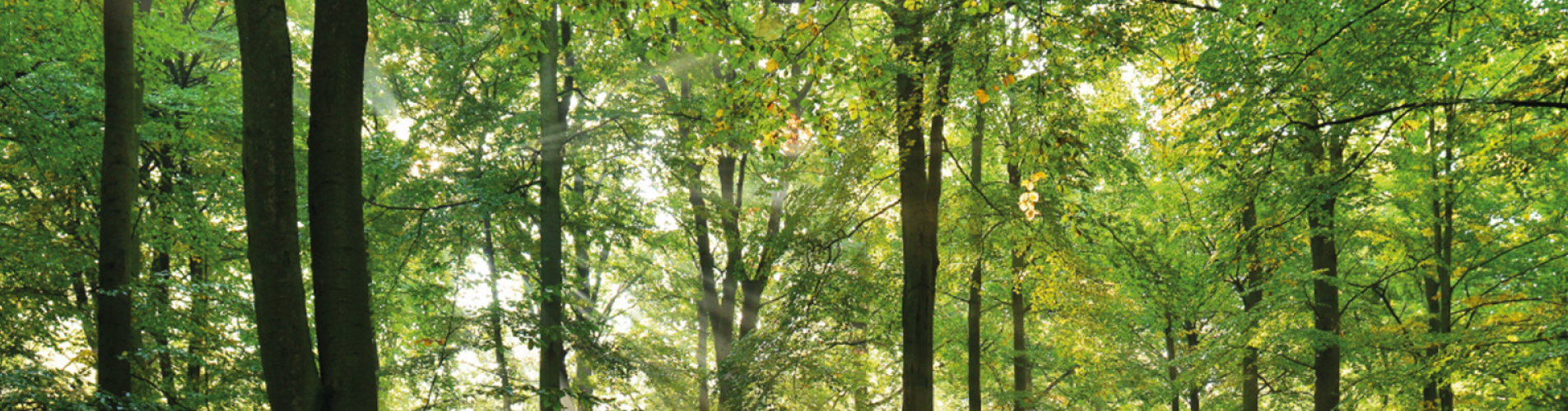 Reduceren CO2 uitstoot | Bruynzeelkeukens.nl